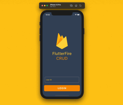 CRUD operations using Firebase Cloud Firestore and Flutter | Codemagic Blog