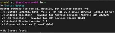Flutter tutorial: Step-by-step guide to kick off your first Flutter project | Codemagic Blog